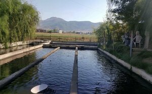 Güroymak Alabalık Tesisi (Bitlis, Güroymak, Şenevler Mah.), restoran  Güroymak'tan
