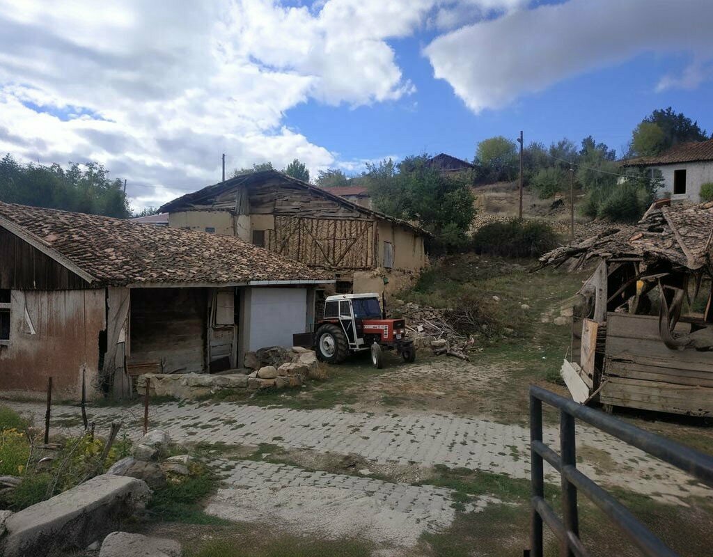 Muhtarlıklar Bayırlı Köy Muhtarlığı, Suluova, foto