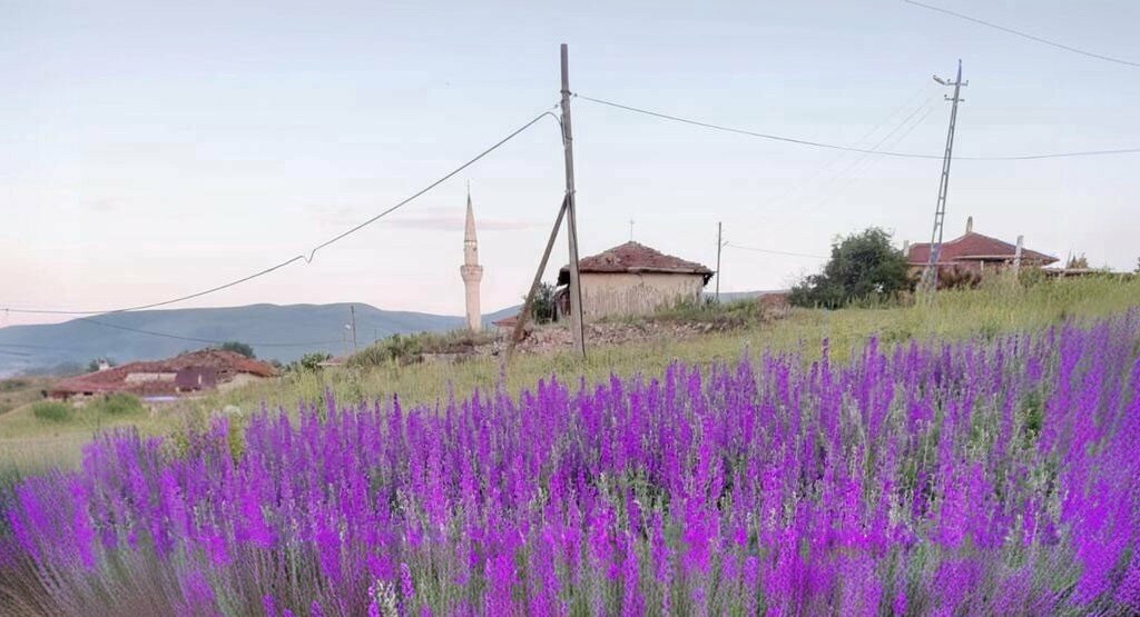 Muhtarlıklar Bozkuş Köy Muhtarlığı, Atkaracalar, foto