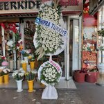 Orkide Çiçekçilik (Kışla Cad. No:61 Efe İş Merkezi, Malatya Merkez, Malatya Merkez, Malatya), çiçekçiler  Malatya'dan