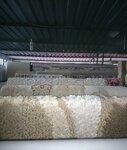 Mıstık Halı Yıkama Fabrikası (Ayan Mh., Ayan Kuyu Sk., No: 25, Sarıgöl, Manisa), halı yıkamacılar  Sarıgöl'den