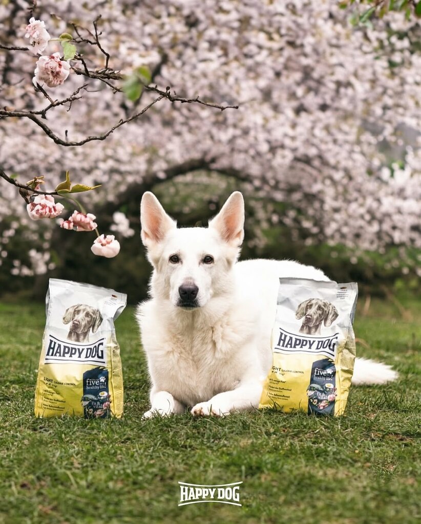 Petshop Happy Dog, Ankara, foto