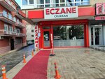 Çelikkan Eczanesi (Sokullu Cad. No:93/B, Harbiye Mahallesi, Dikmen, Ankara), eczaneler  Ankara'dan