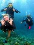 Antalya Diving Tour Scuba Diving Dalış Turu (Antalya, Konyaaltı, Arapsuyu Mah., 607. Sok., 24C), seyahat acenteleri  Antalya'dan
