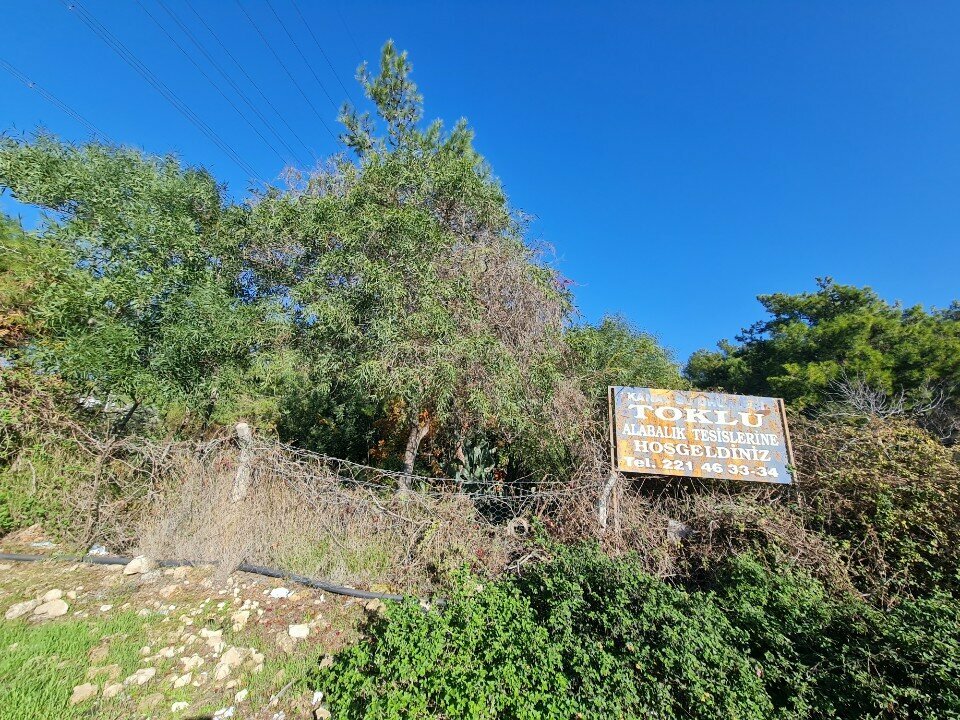 Restoran Toklu Alabalık Tesisi, Antalya, foto