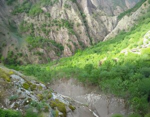 Doğa koruma alanı Hatila Vadisi Milli Parkı, Artvin, foto