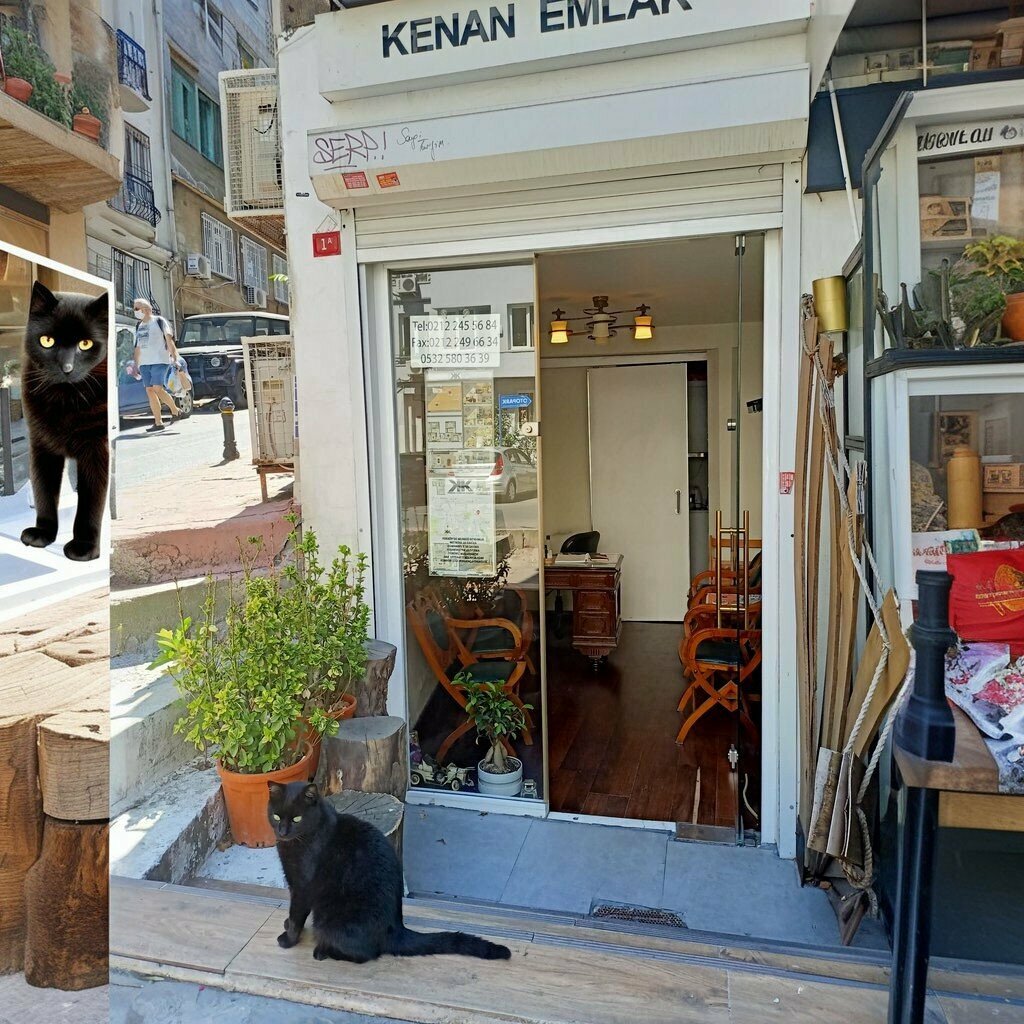 Emlak ofisi Kenan Emlak, İstanbul, foto