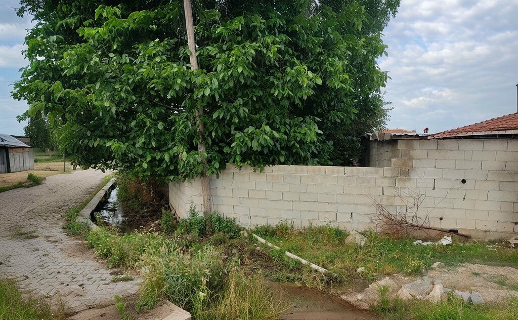 Muhtarlıklar Tatbekirli Köy Muhtarlığı, Çiçekdağı, foto