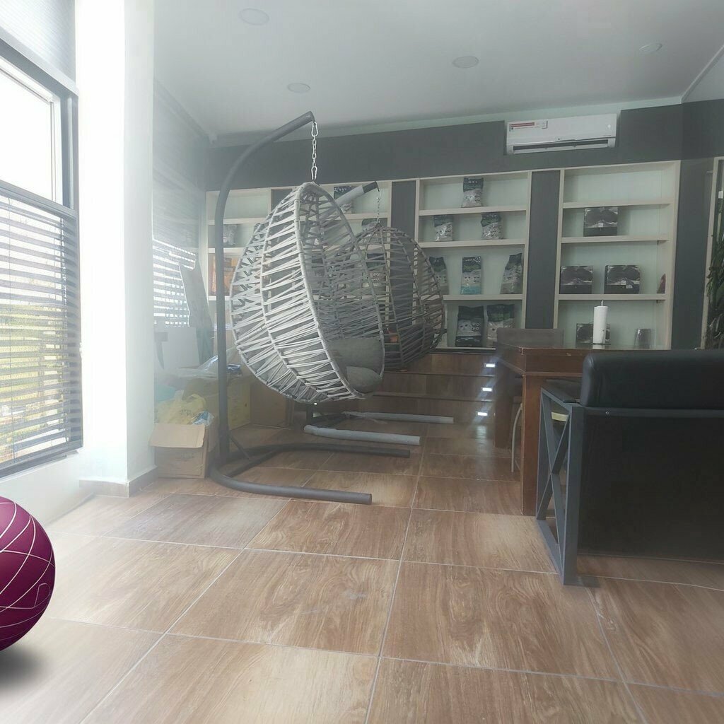 Evcil hayvanlar için ürünler Can Dostu Evcil Hayvan Ürünleri, İzmir, foto