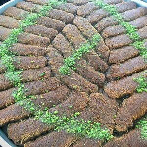 Ahmet Künefe (Şanlıurfa, Karaköprü, Doğukent Mah., 105. Cad.), kafe  Karaköprü'den