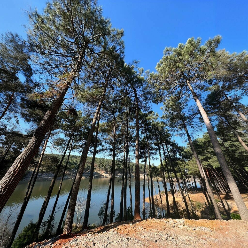Piknik alanı Aydos Göl Piknik Alani, İstanbul, foto