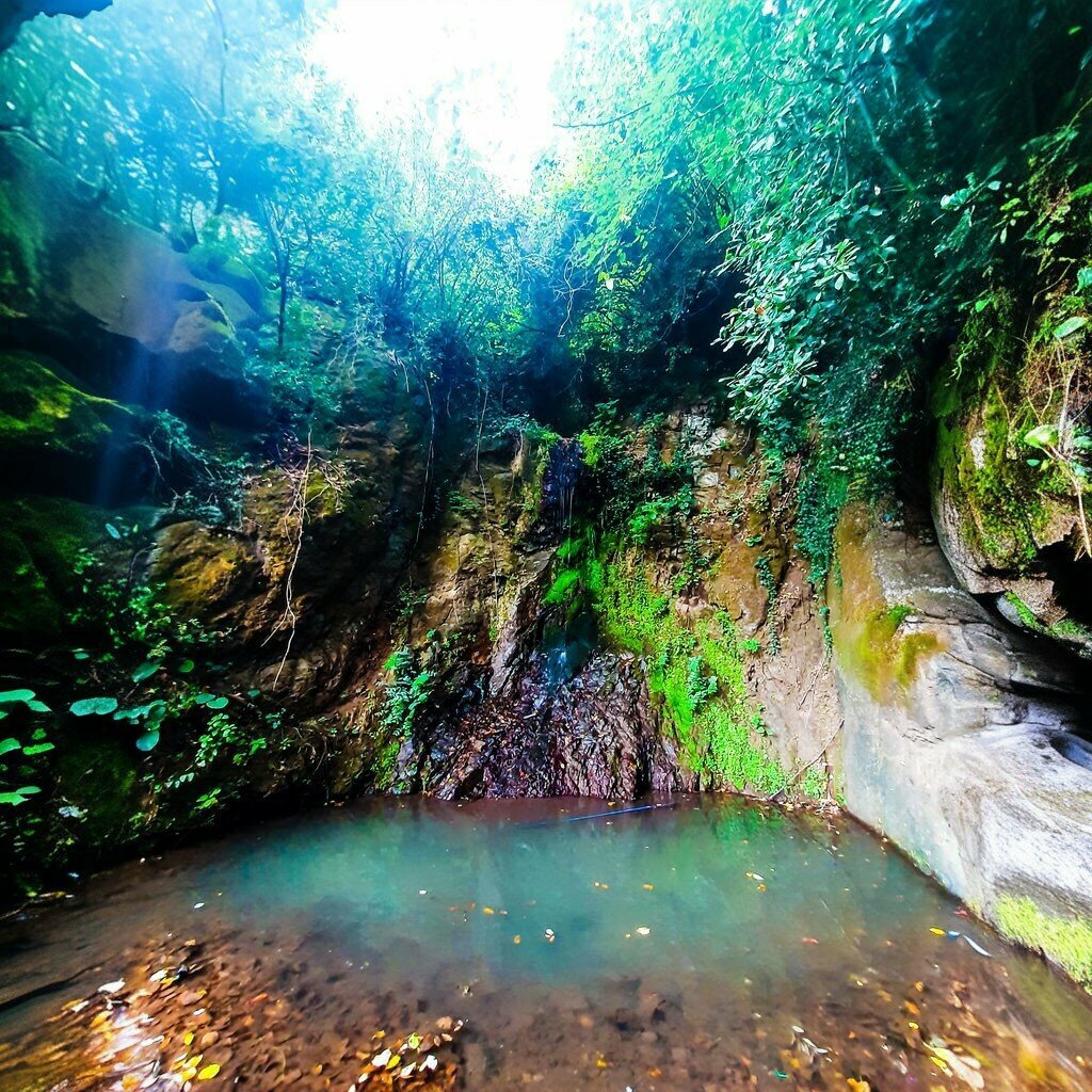 Piknik alanı Saklı Cennet Piknik Ve Kamp Alanı, Başiskele, foto