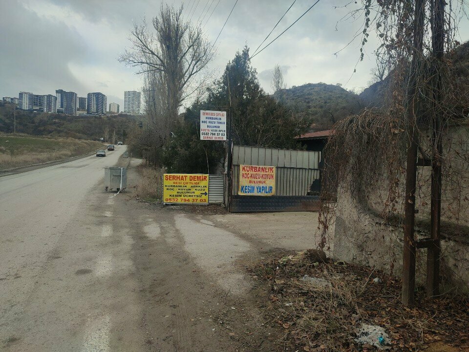 Tarım firmaları Demir Besi Çiftliği, Ankara, foto