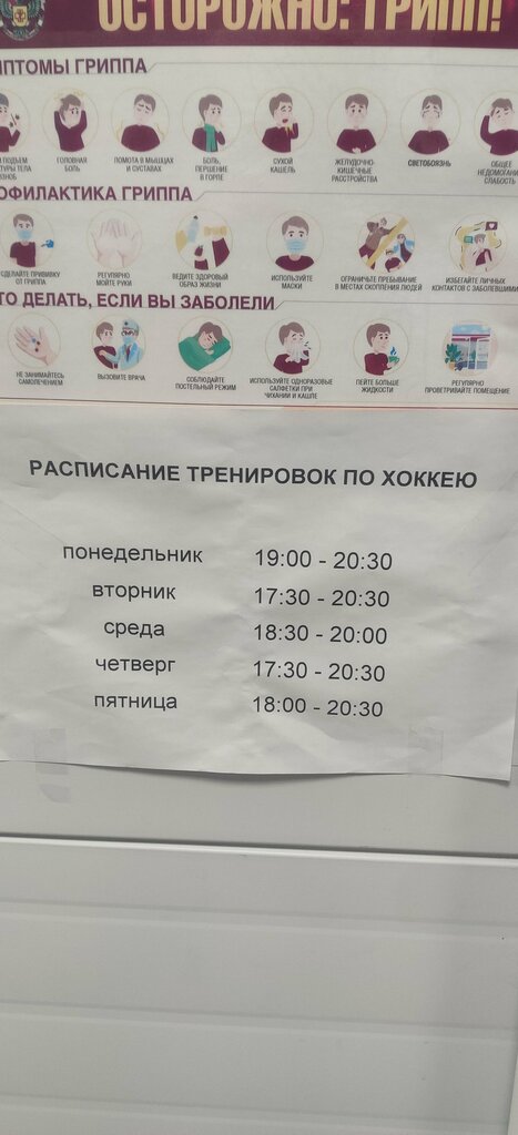 Buz pateni pistleri Ice rink, Moskova ve Moskovskaya oblastı, foto