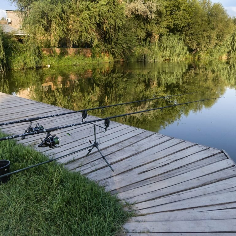 Balık ve deniz ürünleri Golden Fish Group, Taşkent, foto