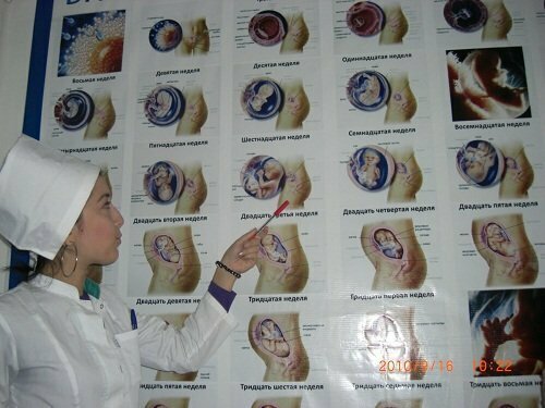 Üniversiteler Information-Resource Center At The Tashkent Pediatric Medical Institute, Taşkent, foto