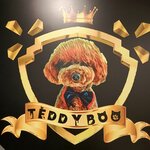 Teddyboo (ulitsa Aleksandra Usoltseva No:16), evcil hayvan kuaförleri  Surgut'tan