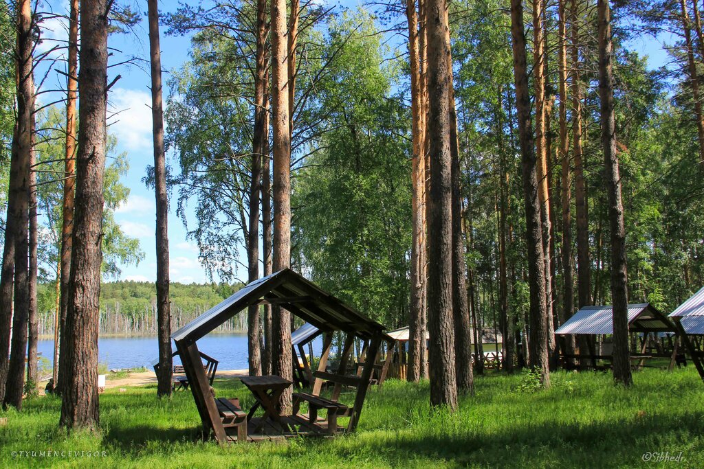Resort oteller, tesisler База отдыха Пять озёр, Omskaya oblastı, foto