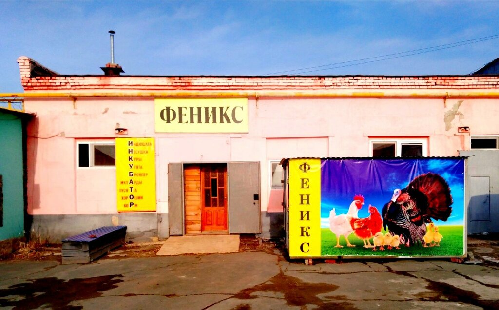 Petshop Феникс, Orsk, foto