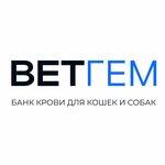 Vetgem (Pavla Korchagina Street No:2А), veteriner klinikleri  Moskova'dan