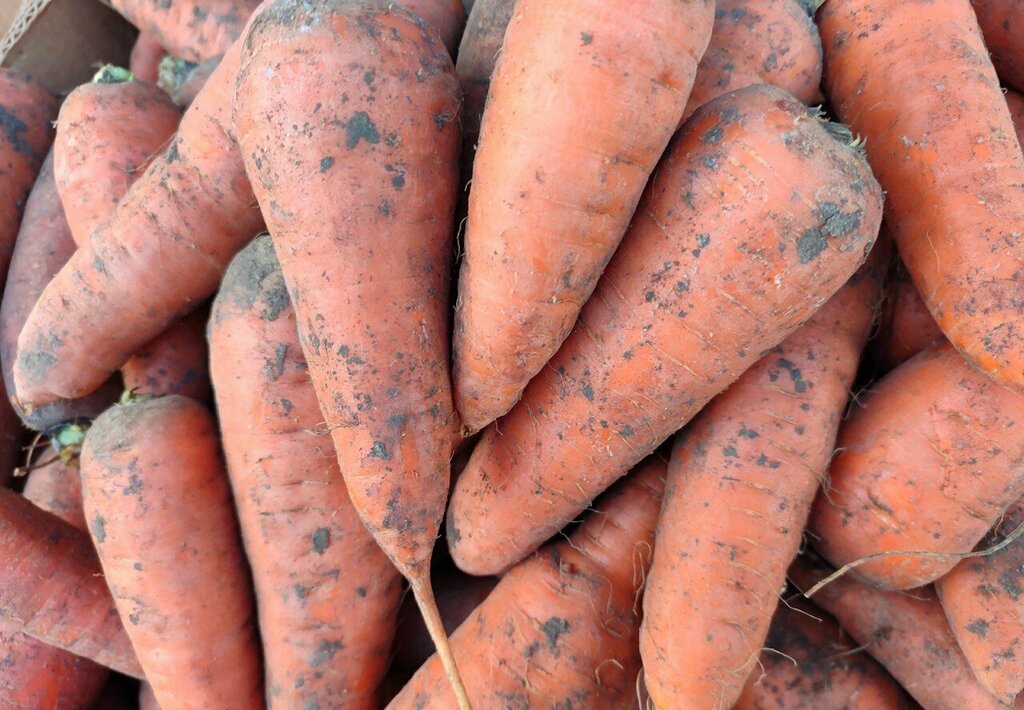 Toptan sebze ve meyve satışı Овощи и Фрукты, Lipetsk, foto