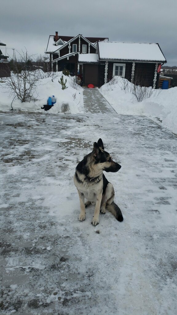Çiftlik tatili Отдых на ферме, Kalujskaya oblastı, foto
