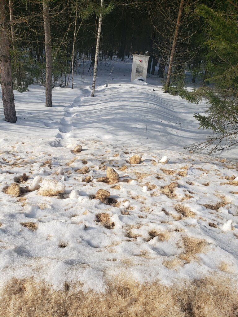 Çiftlik tatili Отдых на ферме, Kalujskaya oblastı, foto