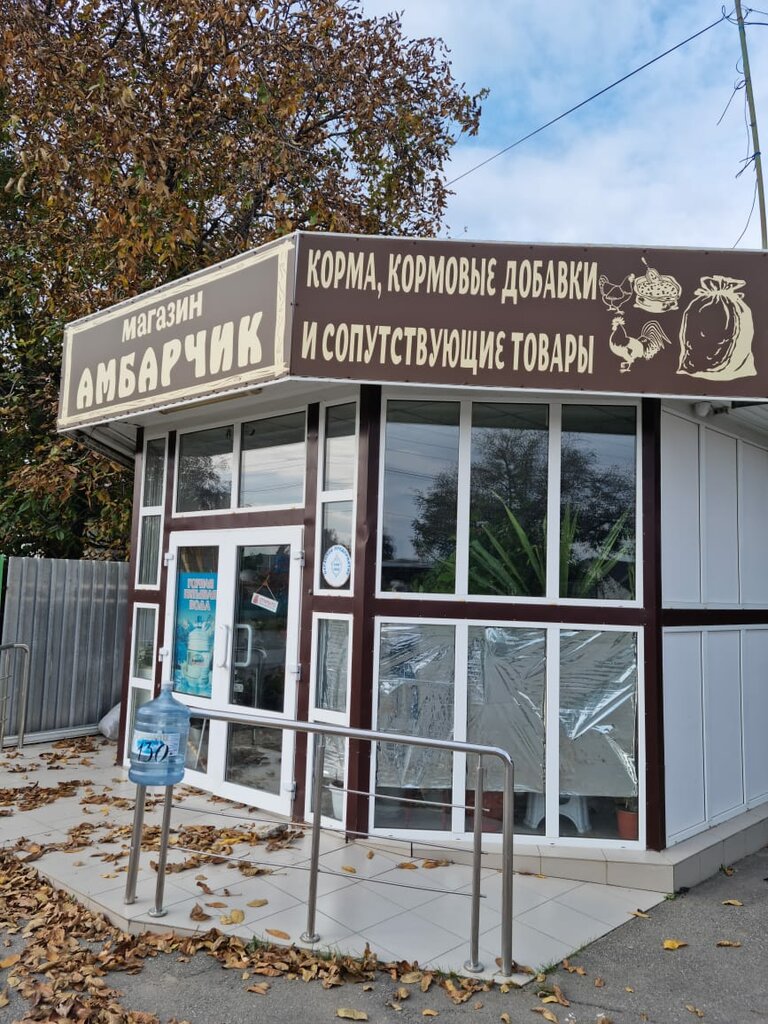Hayvancılık Inkubatory: vyvod ptitsy, Izobilny, foto