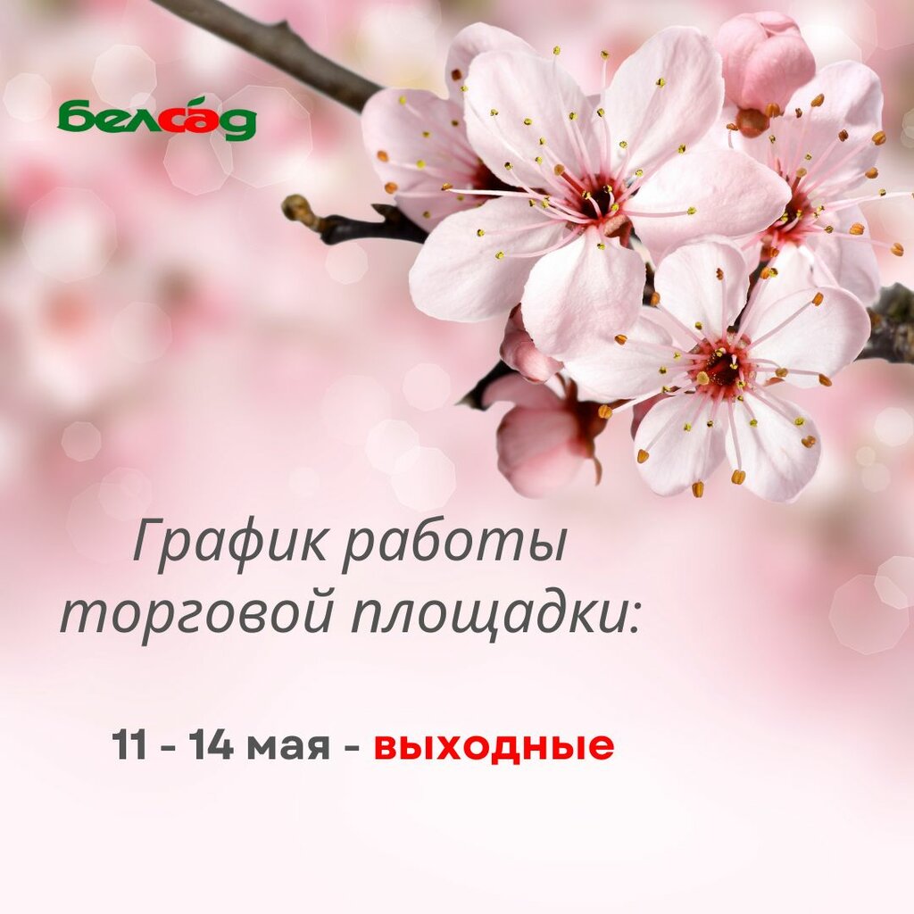 Bahçecilik mağazaları Магазин Садовый, Minskaya oblastı, foto