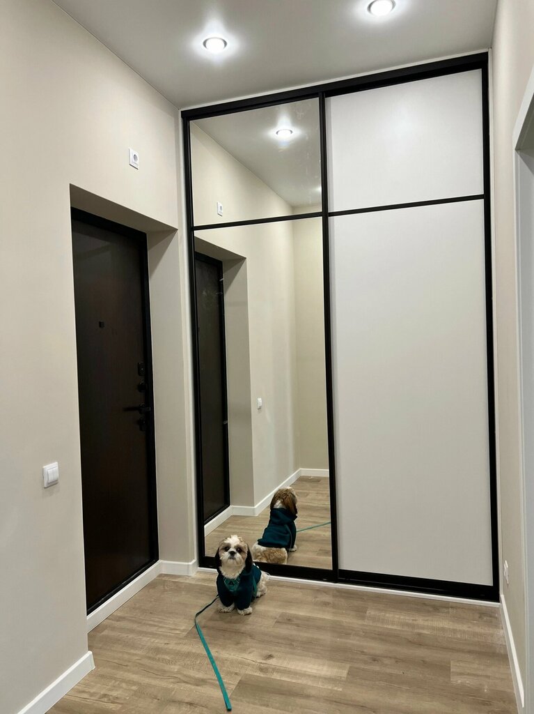 Ray dolap üreticileri Шкафоff, Yekaterinburg, foto