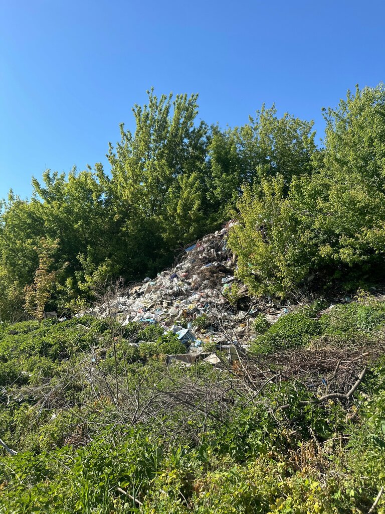 Çöp alanları Trash and garbage disposal area, Balaşov, foto