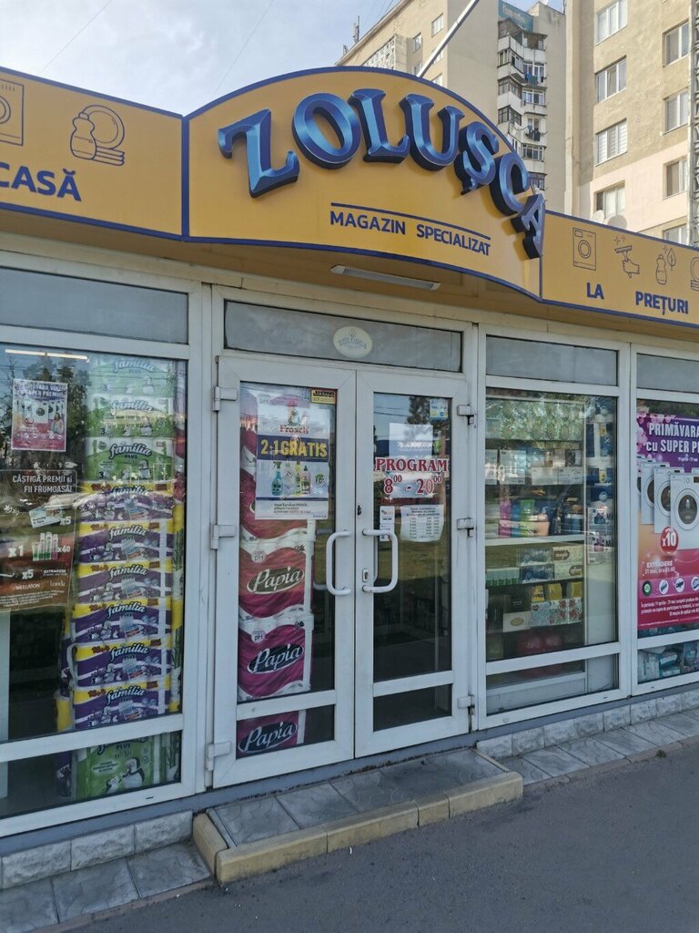 Ev temizlik ürünleri Zolușca, Kişinev, foto