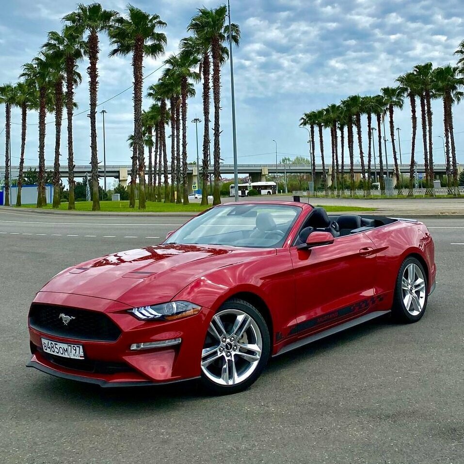 Oto kiralama Arenda Lab, Krasnodarski krayı, foto