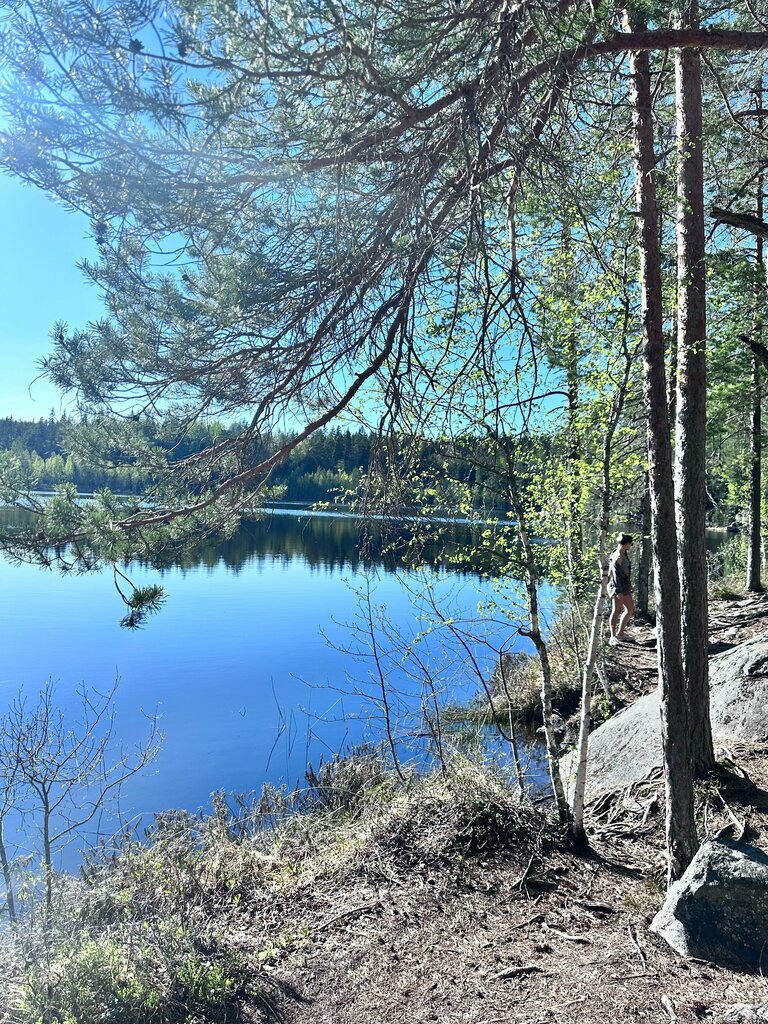 Plaj Плаховская заводь, Saint‑Petersburg ve Leningradskaya oblastı, foto