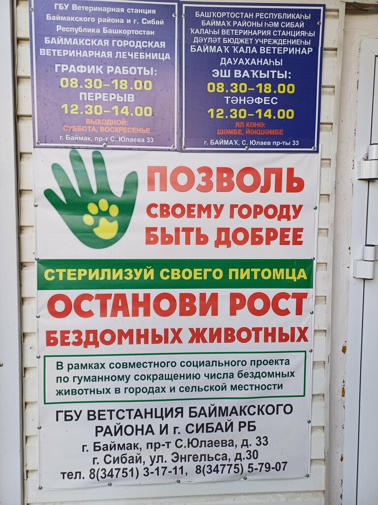 Veteriner klinikleri Баймакская городская ветеринарная лечебница, Baymak, foto