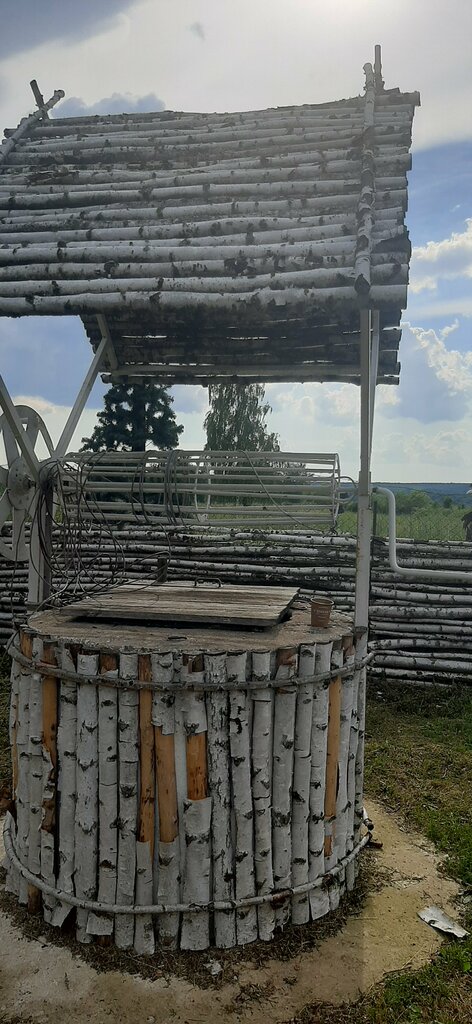 Dağ zirvesi № 1 North Mine Spoil Tip, Riazanskaya oblastı, foto
