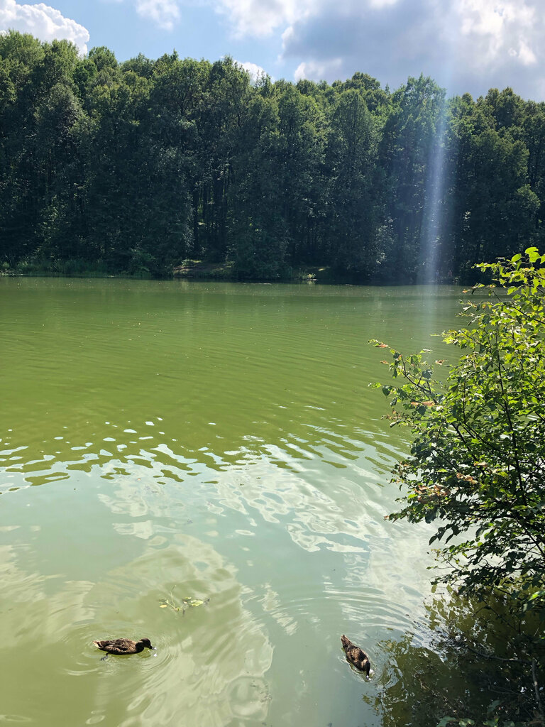 Plaj Громовой, Tula, foto