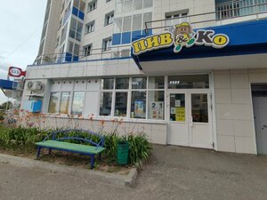 Bira dükkanı Piv&Ko, Cheboksary, foto