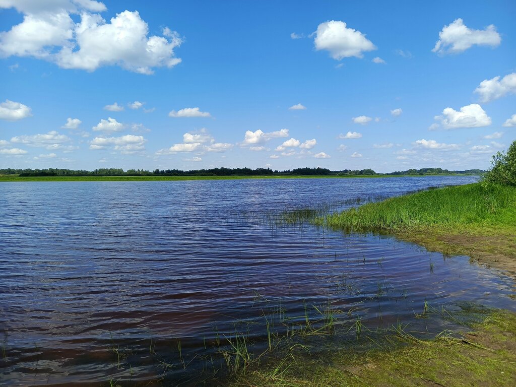 Plaj Пляж, Novgorodskaya oblastı, foto