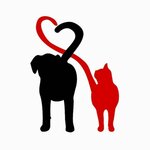 Pet Shop (Oktyabrskaya ulitsa No:140, stanitsa Tbilisskaya), petshop  Krasnodarski krayından