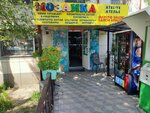 Mozaika (No:2, Kóktem-3 shaǵyn aýdany, Almaty), ev temizlik ürünleri  Almatı'dan