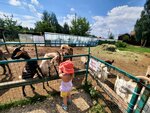 Contact Zoo (Slivovaya ulitsa No:1В, derevnya Chiveryovo), hayvanat bahçeleri  Moskova ve Moskovskaya oblastından