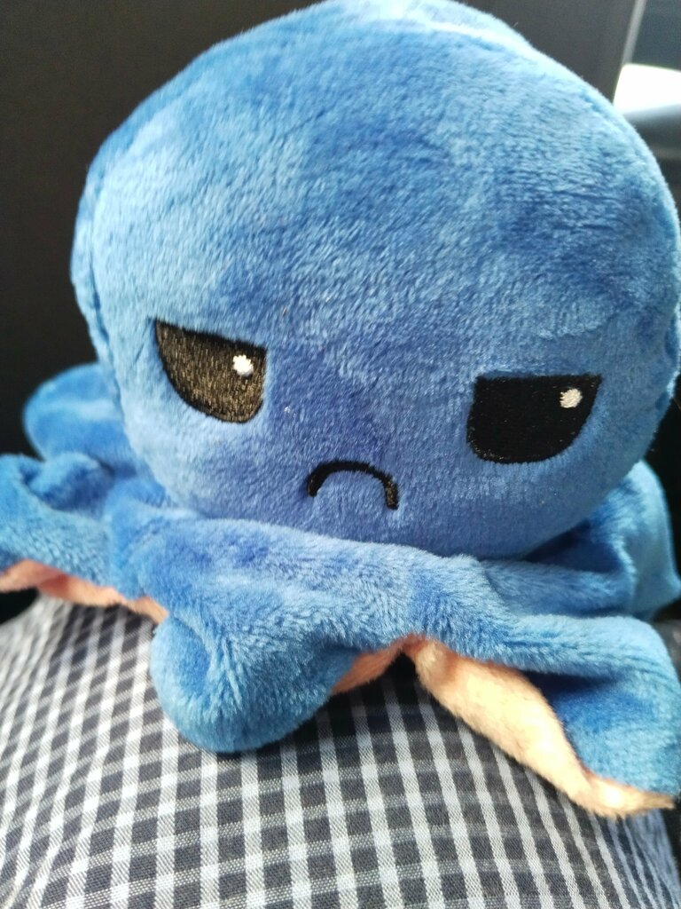 Teslimat noktası Ozon, Vladimirskaya oblastı, foto