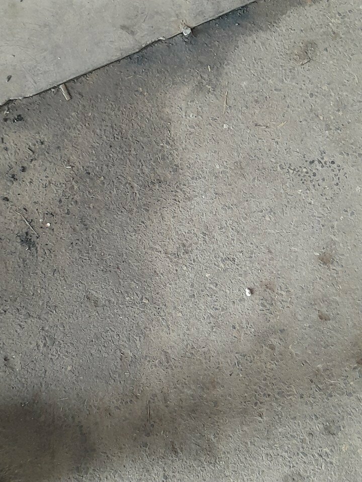 Toptancılar Анком, Syktivkar, foto