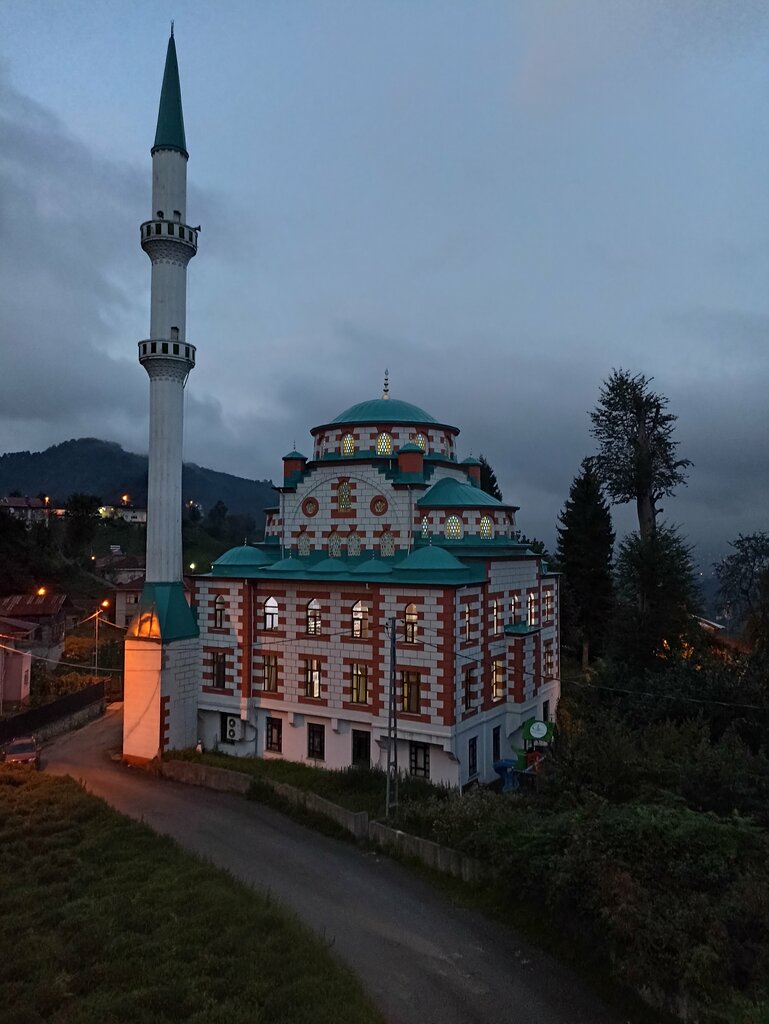 Cami Demirhisar Köyü Merkez Camii, Çayeli, foto