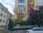 Etimesgut Posoflular Derneği (30 Ağustos Mah., 2084. Cad., No:1B, Etimesgut, Ankara), dernekler, birlikler  Ankara'dan