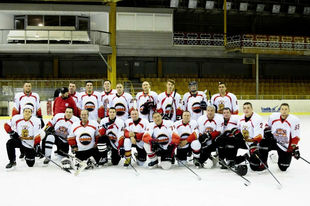 Çok amaçlı spor tesisleri Ледовый дворец Мечел, Çeliabinsk, foto