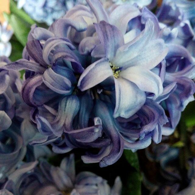 Tiyatrolar Atılım Üniversitesi Amfi Tiyatro, Ankara, foto