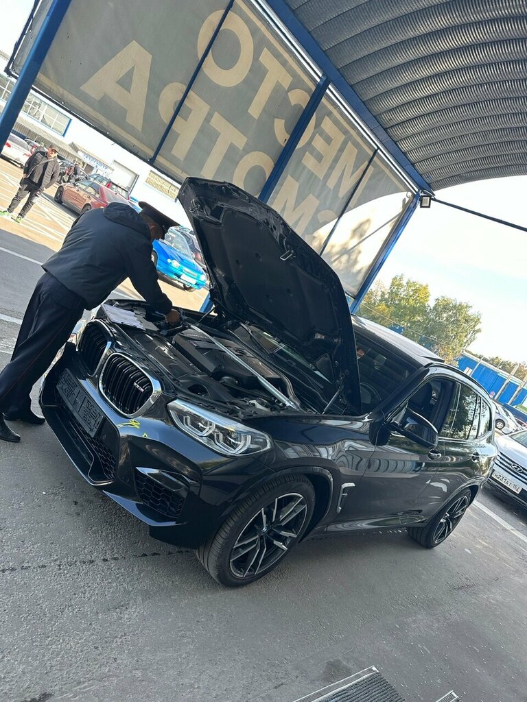 Araba seçimi hizmeti DS-Автоподбор, Vladimir, foto