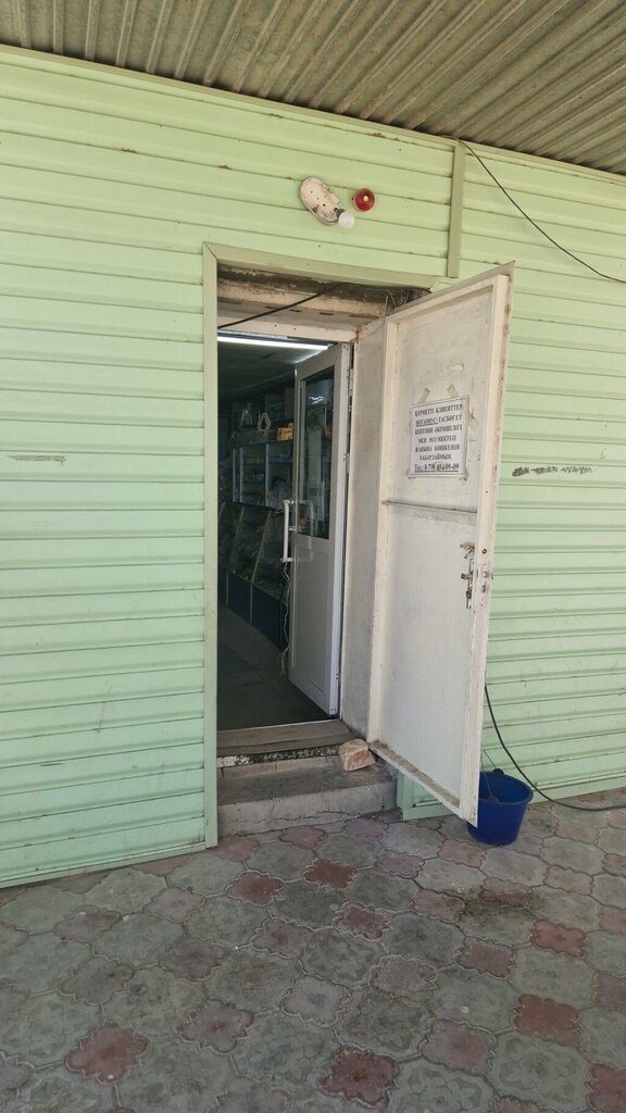 Market Zhazira, Kızılorda eyaleti, foto